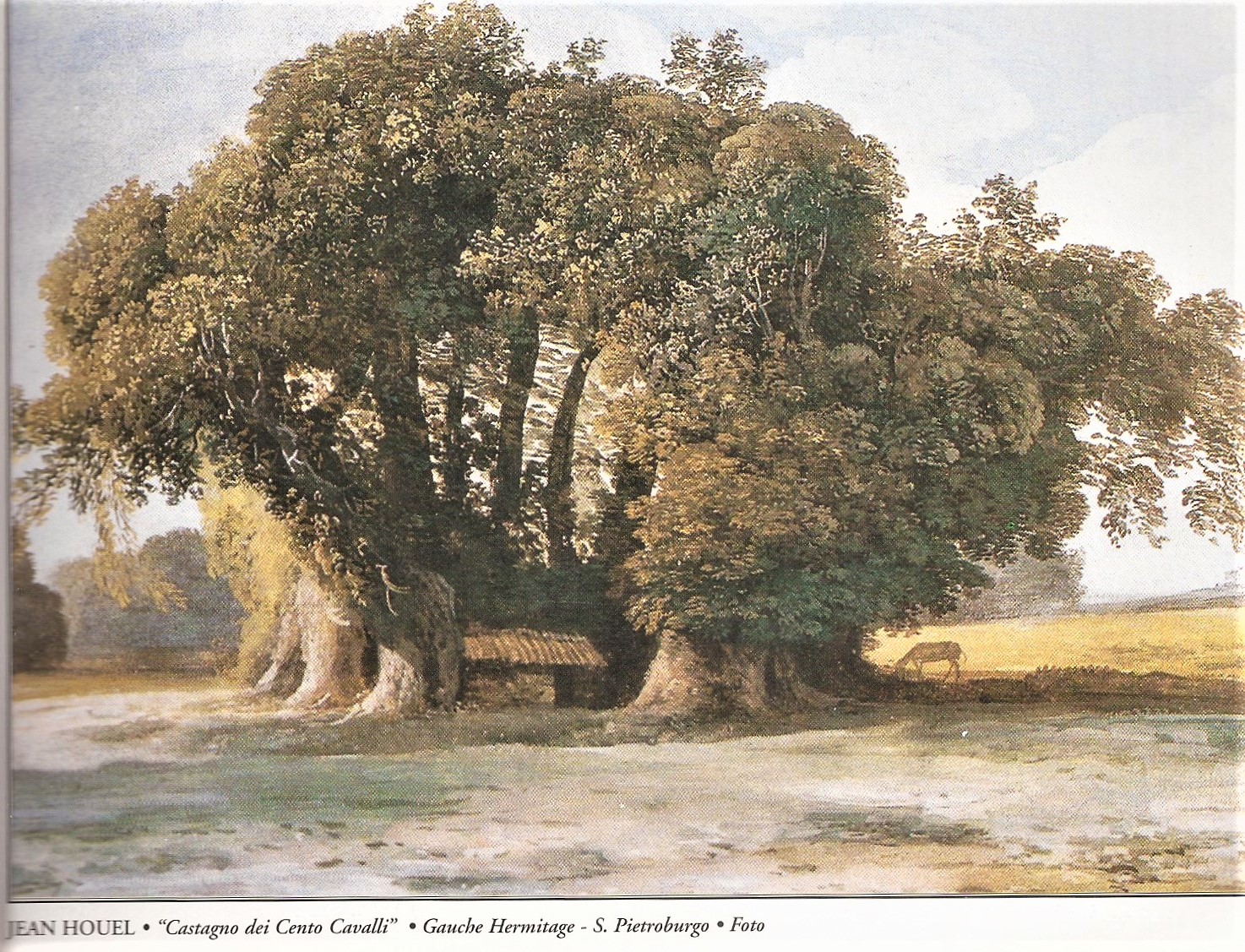 Il Castagno, la regina Giovanna, i cento cavalieri. La fascinosa ...