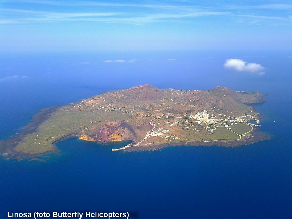 Linosa Foto Butterfly - Il Vulcanico