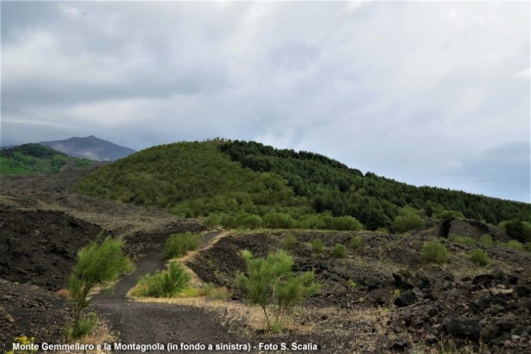 I Gemmellaro di Nicolosi. Carlo e l'eruzione dell’Etna del 1886 - Il ... I Gemmellaro di Nicolosi. Carlo e l'eruzione dell’Etna del 1886 - Il ...